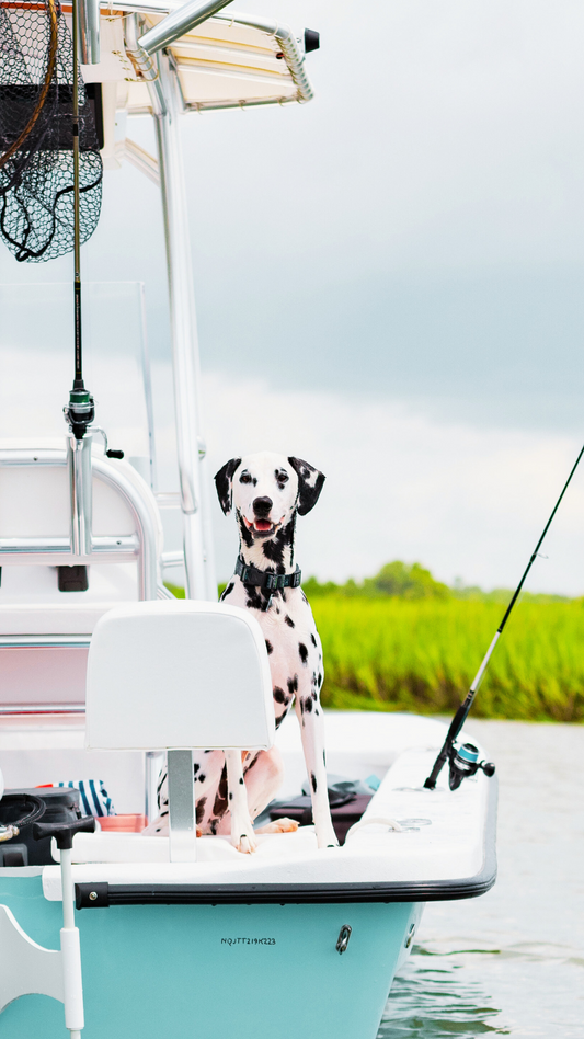 Stick It Anchor Pins®